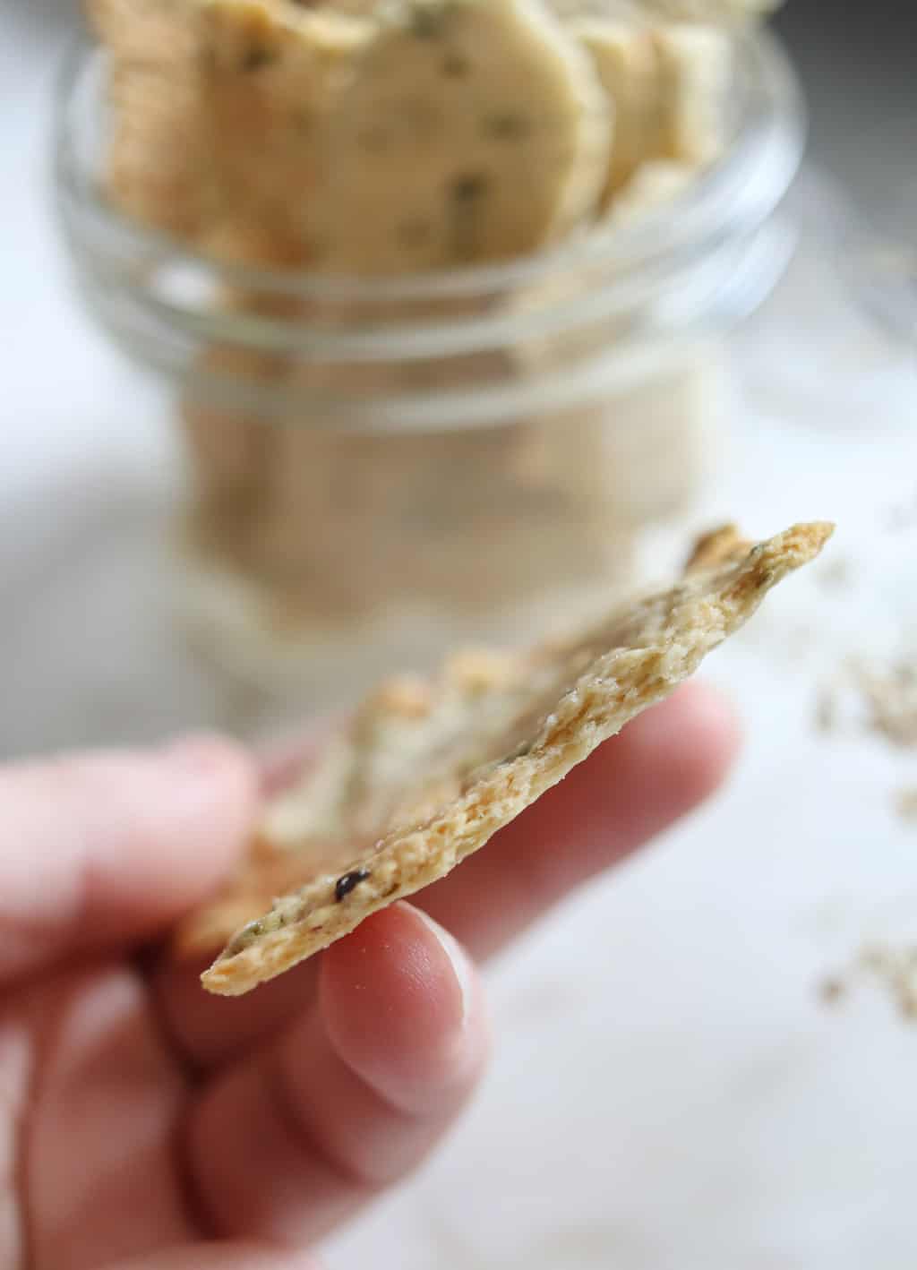 Sourdough Starter Cracker Recipe • Girl Loves Gloss